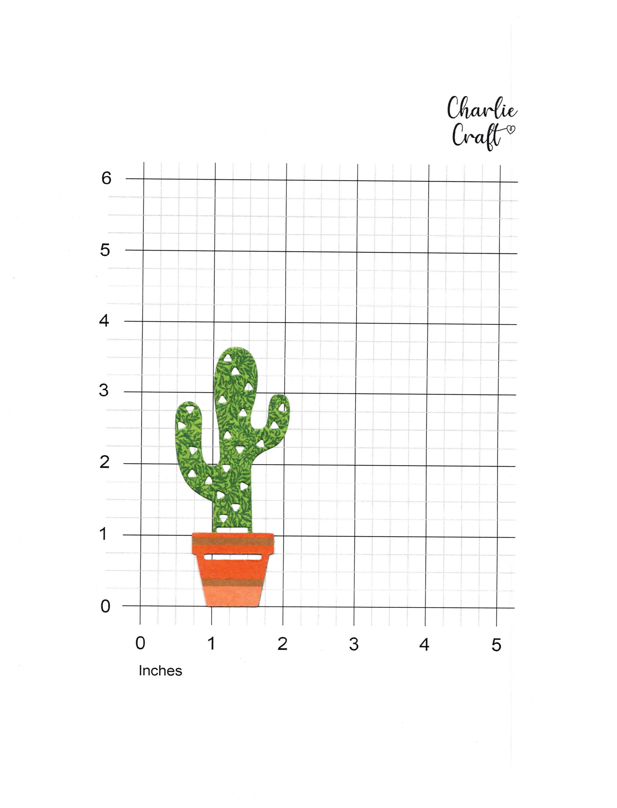 Potted Cactus – Charlie Craft