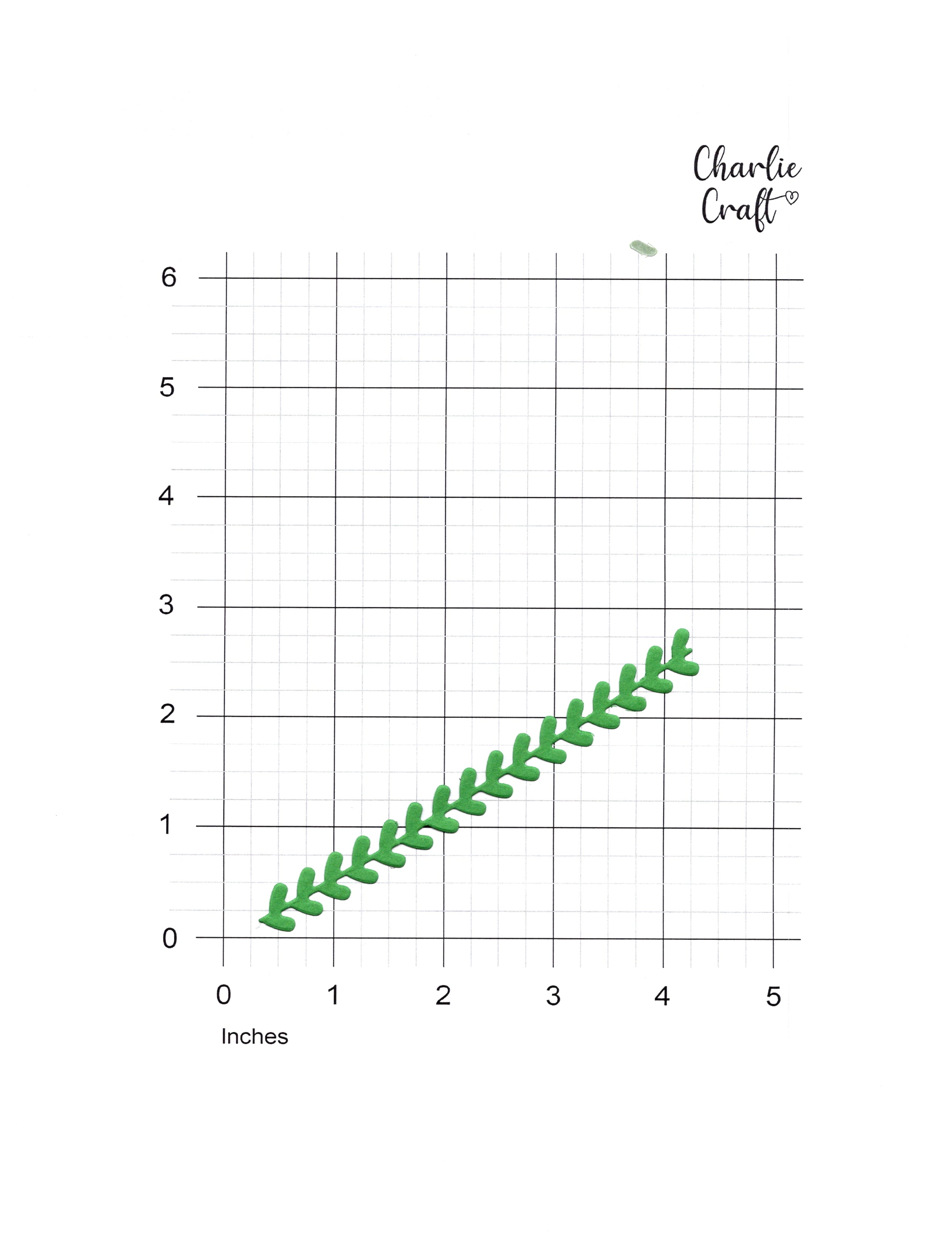 String of Leaves – Charlie Craft