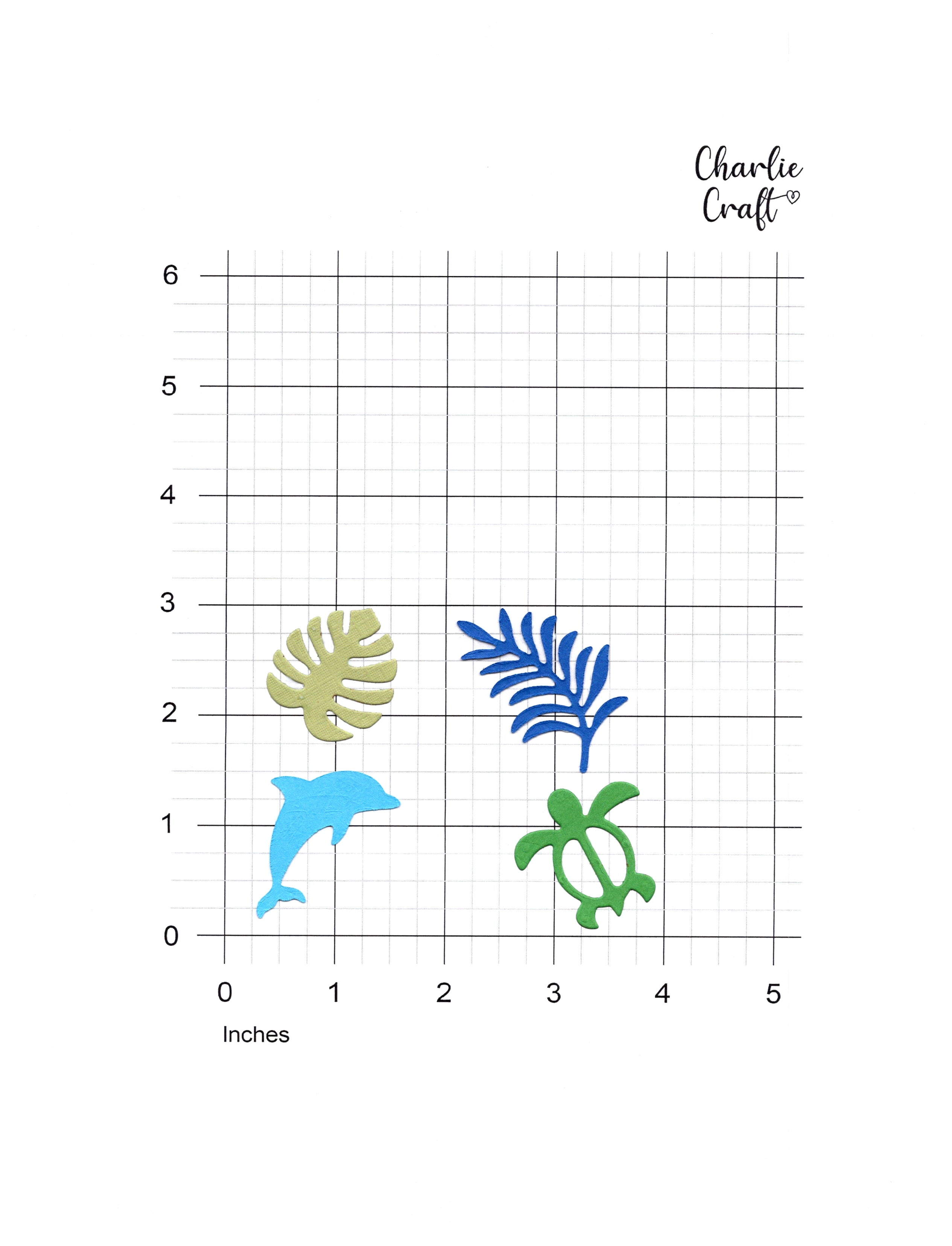 Swimming Around - 4 piece set – Charlie Craft